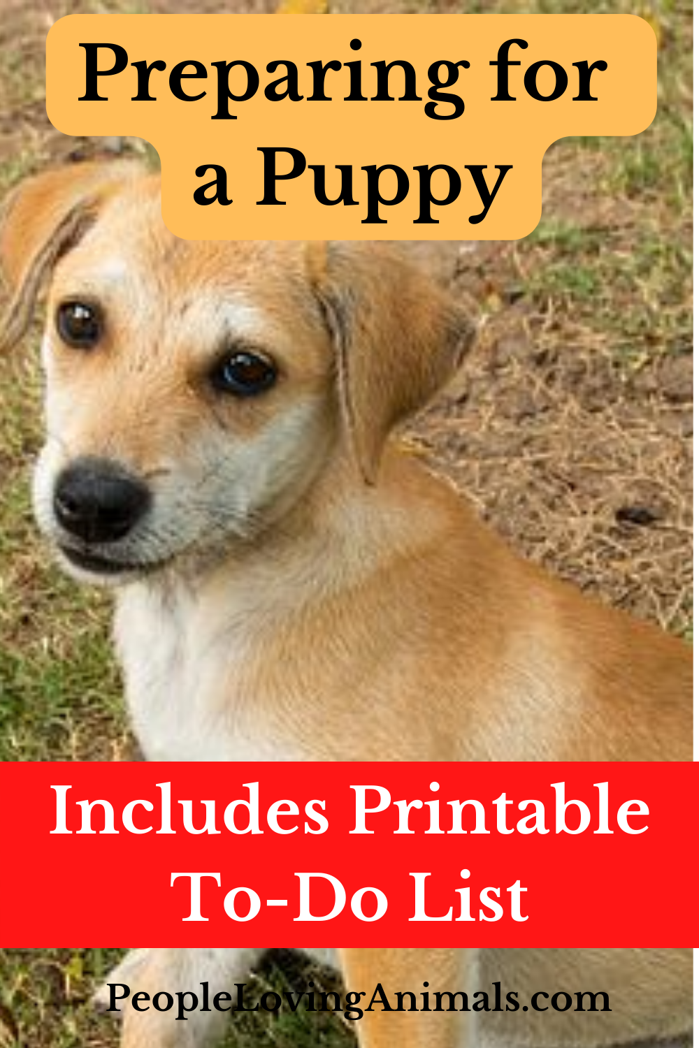 Preparing for a Puppy - Includes Printable To-Do List!