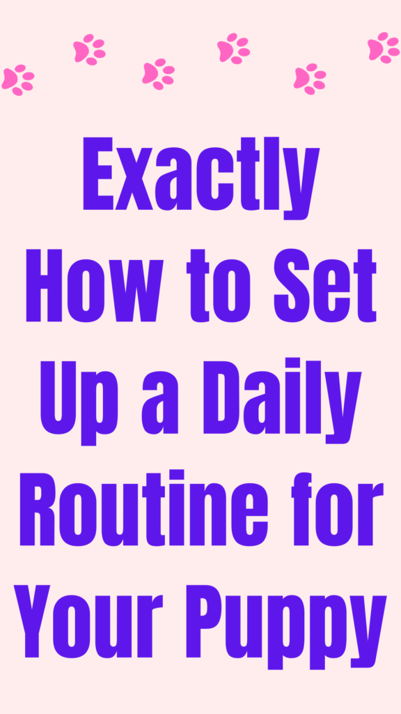 Establishing a Routine for Your Puppy - Consistency is Key!