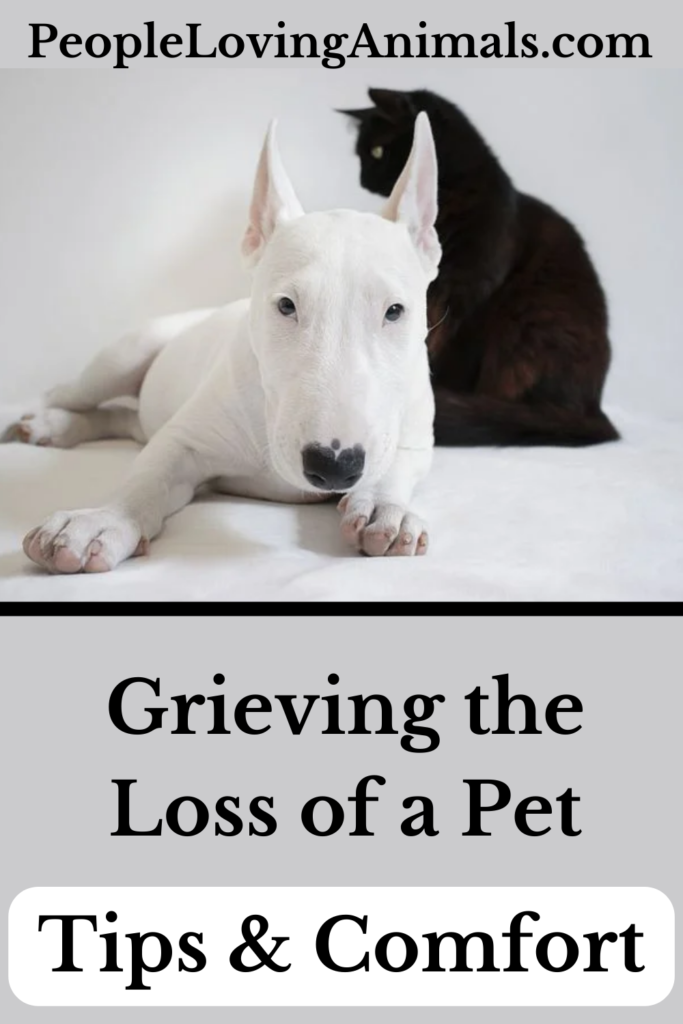 Grieving Over the Loss of Your Pet - Coping Tips and Comfort
