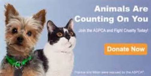 Free Spay or Neuter Clinics - Help to Get Your Pet "Fixed"