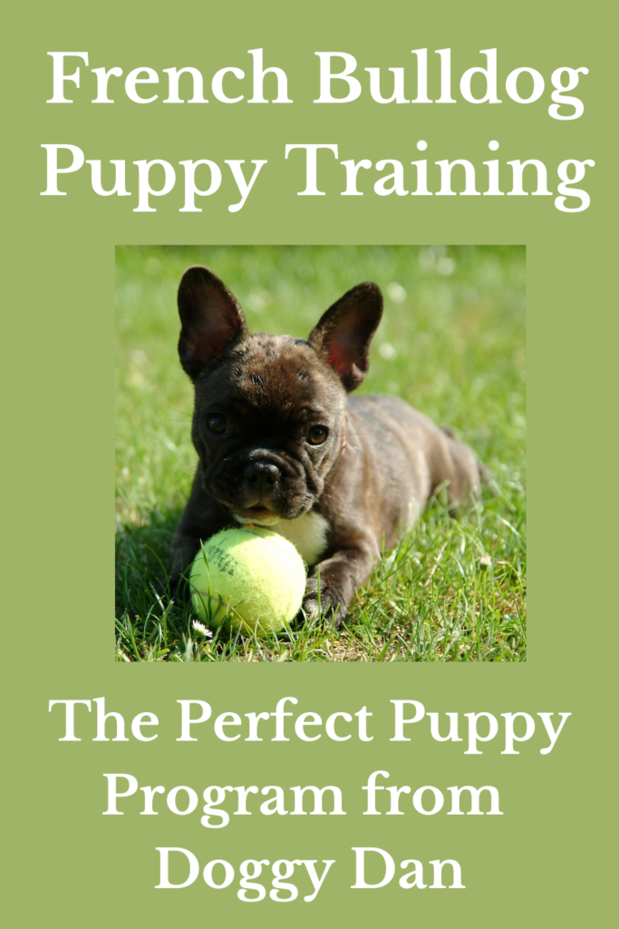 French Bulldog Puppy Training - "The Perfect Puppy Program"