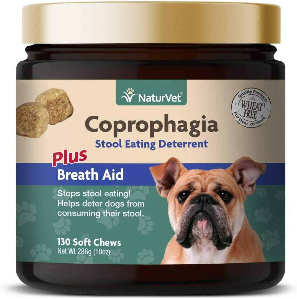 Top 3 Stool Eating Deterrents for Dogs Stop Dog Eating Poop!