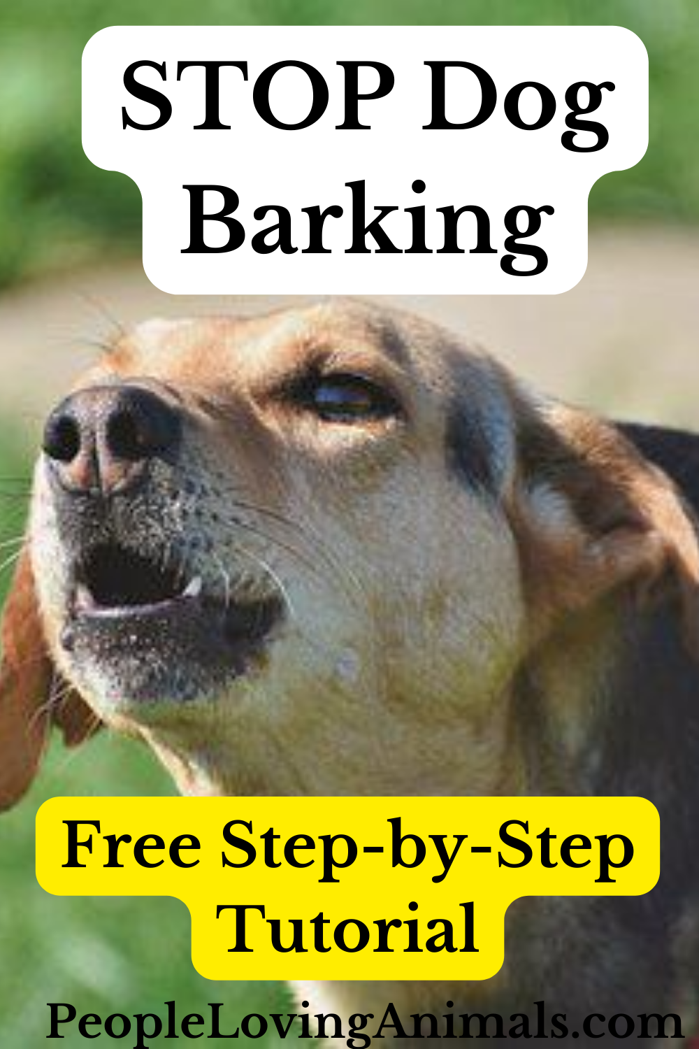 Stop Dog Barking - WITHOUT Hurting Your Dog or Puppy