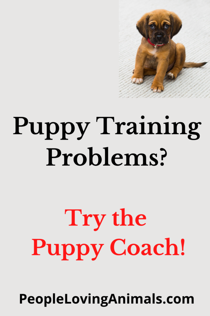 Puppy Training Problems? - Get The Puppy Coach!
