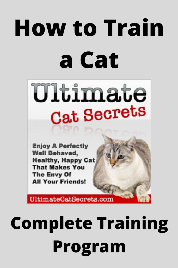 How to Train a Cat - Complete Cat Training Program