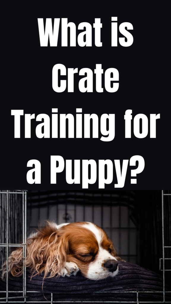 Crate Training Puppies - Complete Step-by-Step Instructions