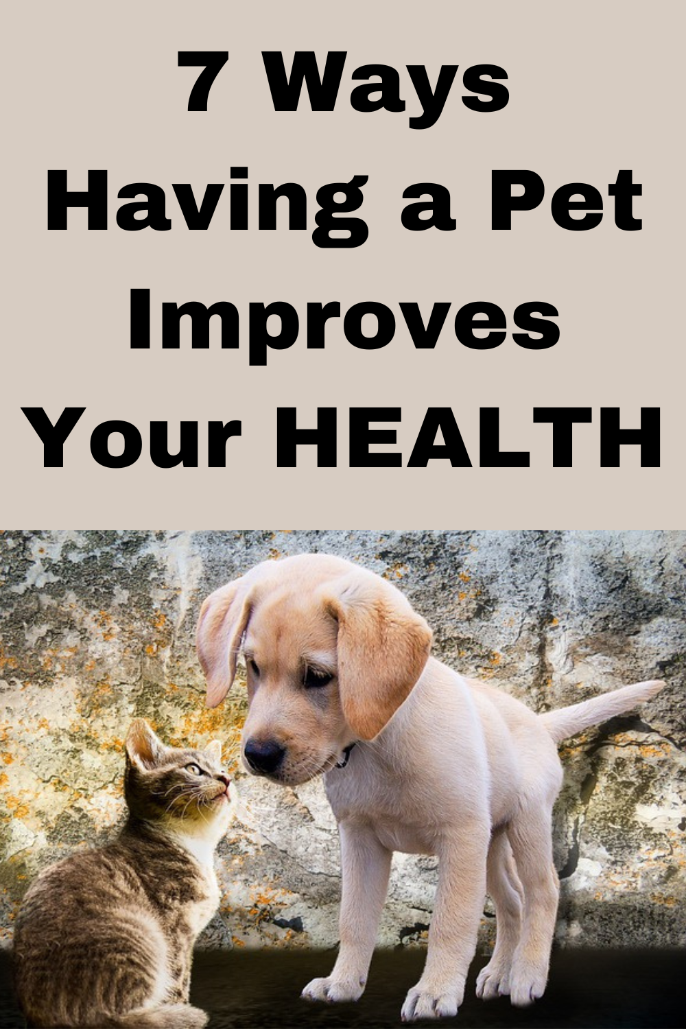 How Do Pets Improve Your Health? - Pets Make Us Healthier!