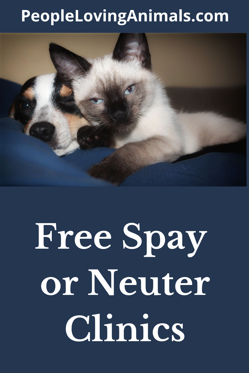 Free Spay or Neuter Clinics Near You
