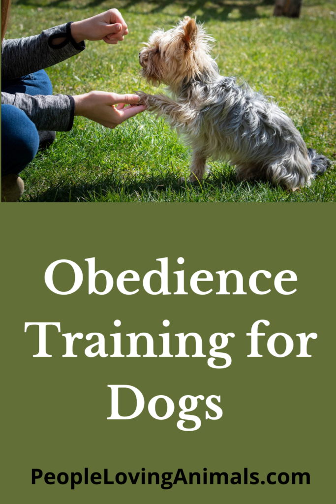 Obedience Training for Dogs - STOP Disciplining Your Dog
