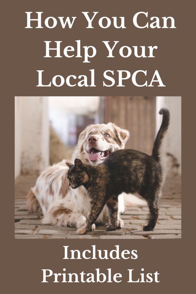 How You Can Help Your Local SPCA - Includes Printable List
