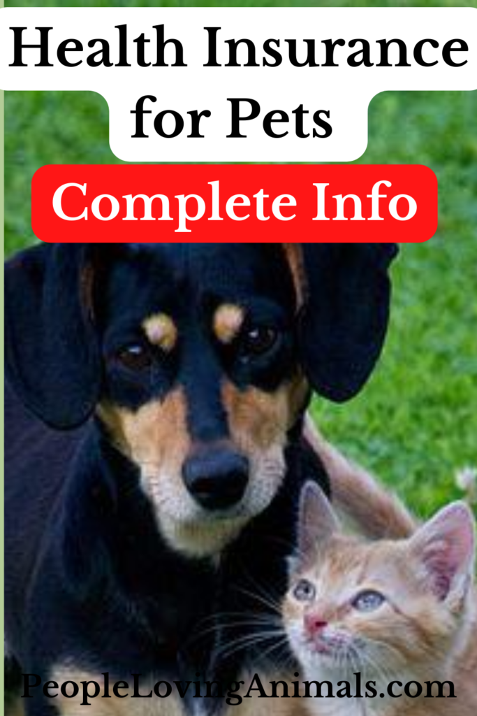 Health Insurance for Pets - Everything You Need to Know!