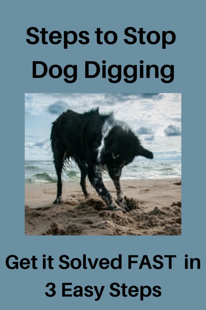 How to Stop Dog Digging in 3 Easy Steps - (Seriously...)