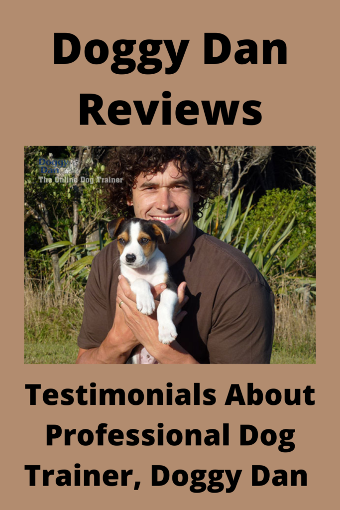 Who is Doggy Dan? - Doggy Dan Is The Online Dog Trainer!
