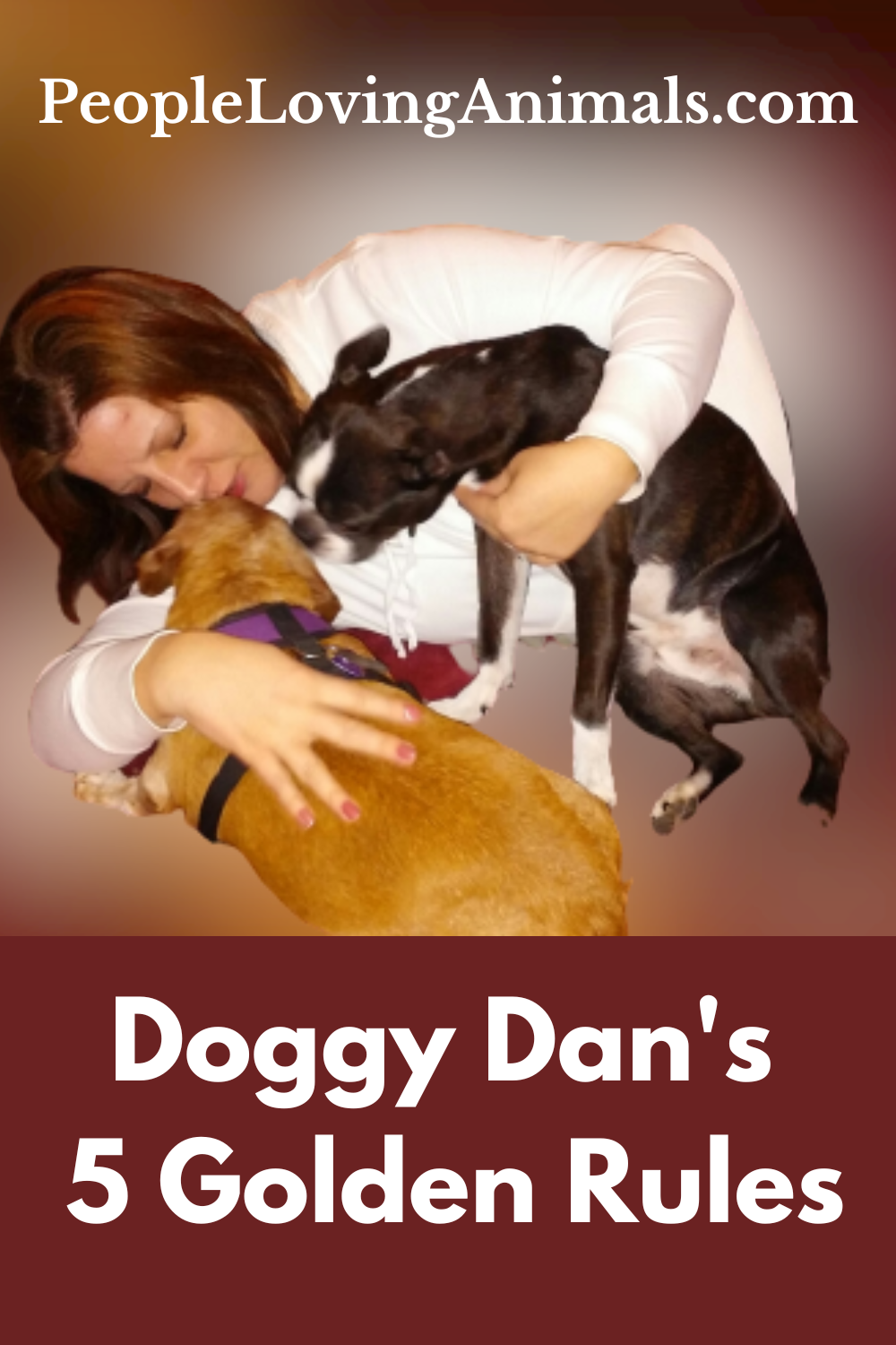 How to Control Dog Behavior - Doggy Dan's 5 Golden Rules