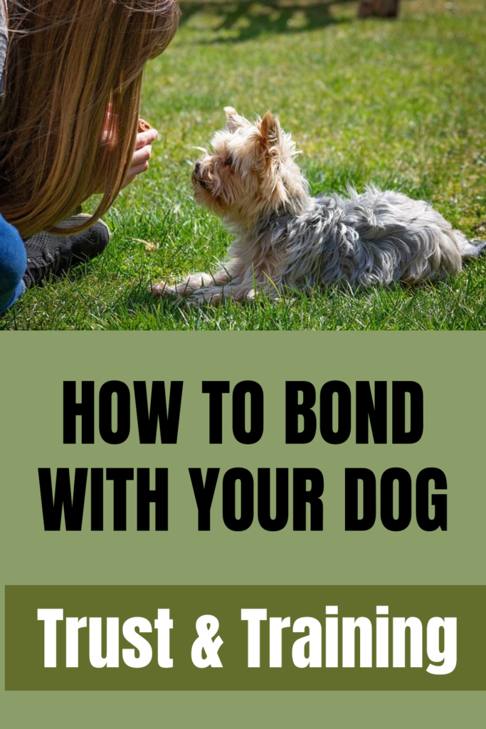 How to Bond with Your Dog - Important Things to Consider