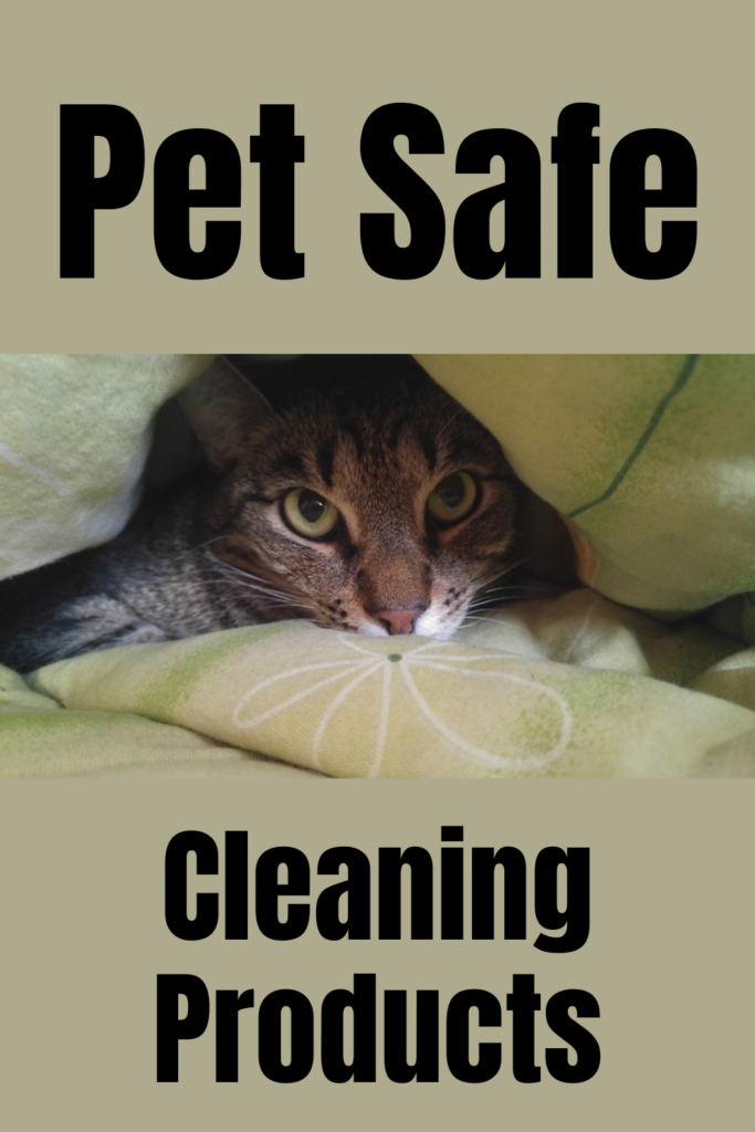 Spring Cleaning Tips for Pet Owners - Tips and Safety
