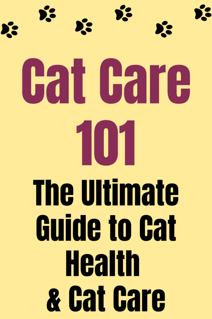 Complete Cat Health and Care Guide | Basics for Beginners