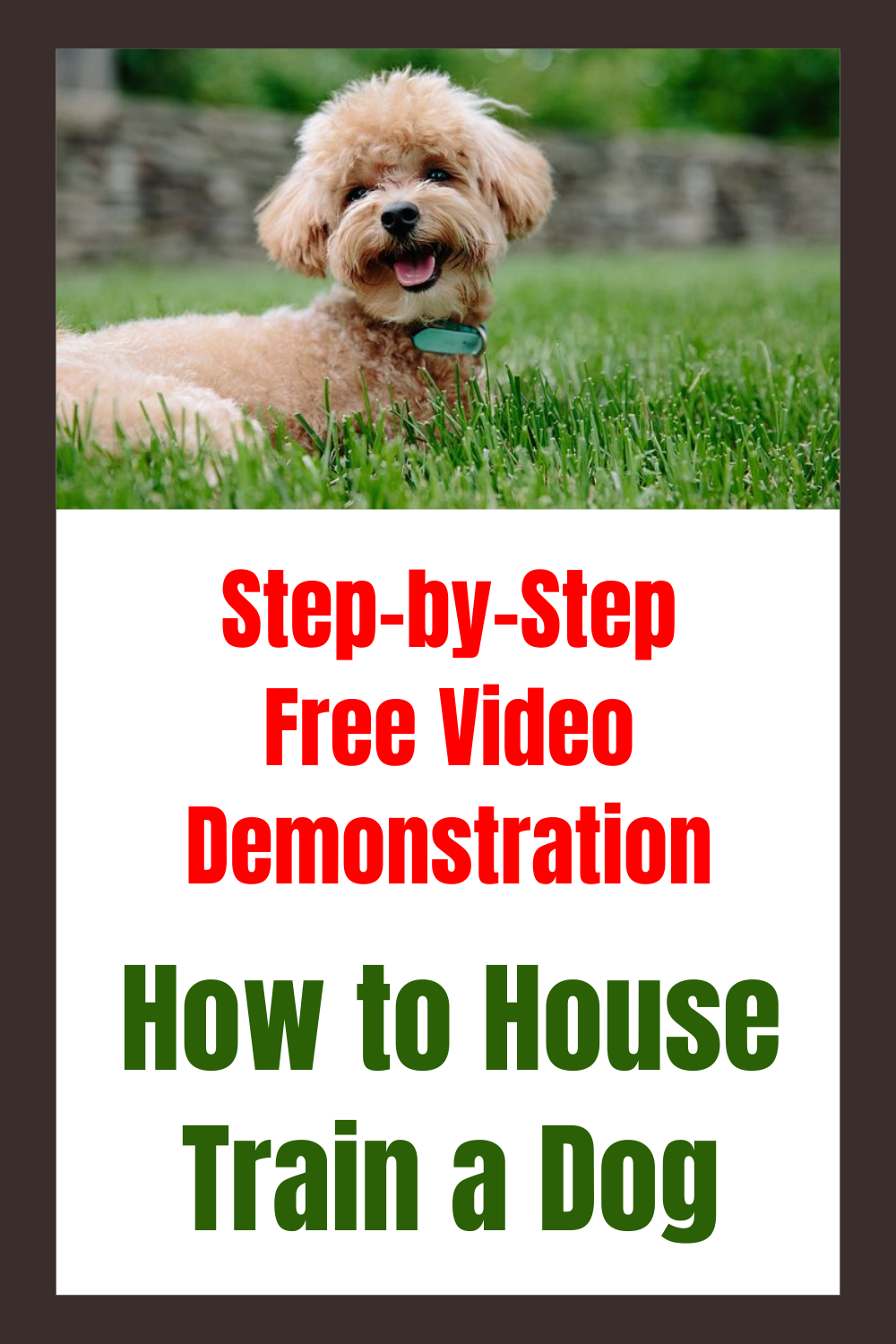 How to House Train a Dog - Easy to Follow and FAST!