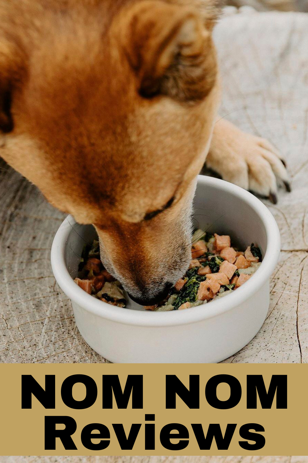 Nom Nom Dog Food Review 2025 | Ingredients, Prices, Drawbacks