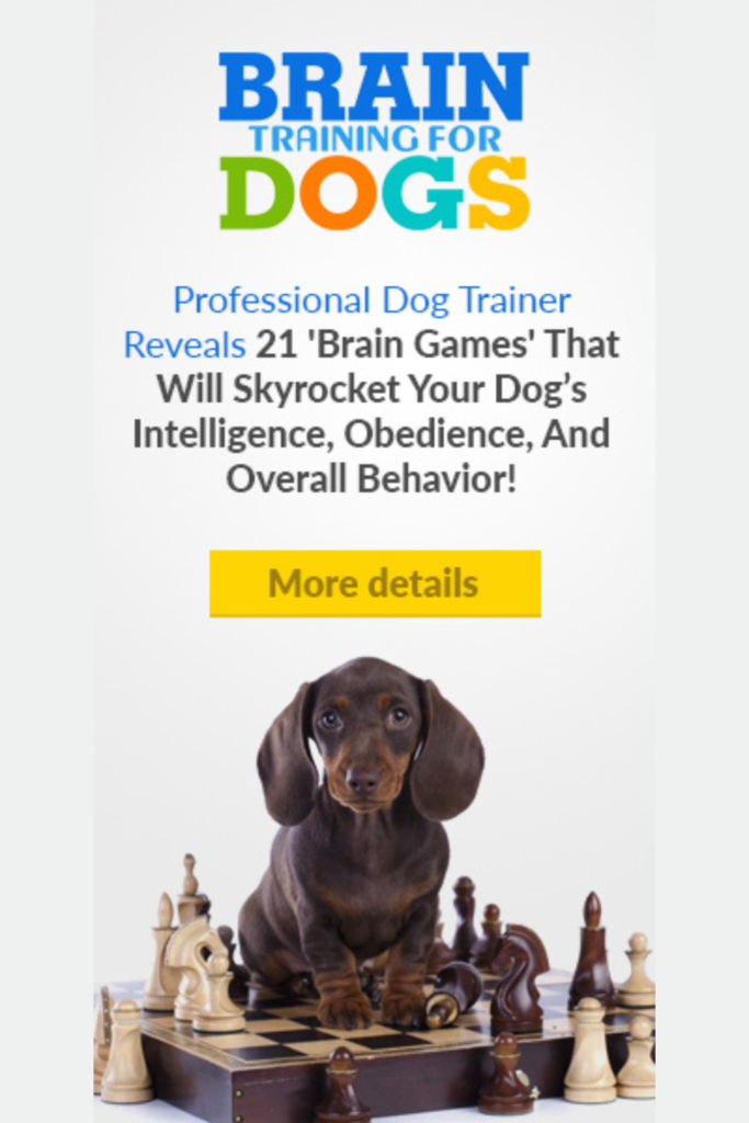 Brain Training for Dogs - Stops Bad Dog Behavior!