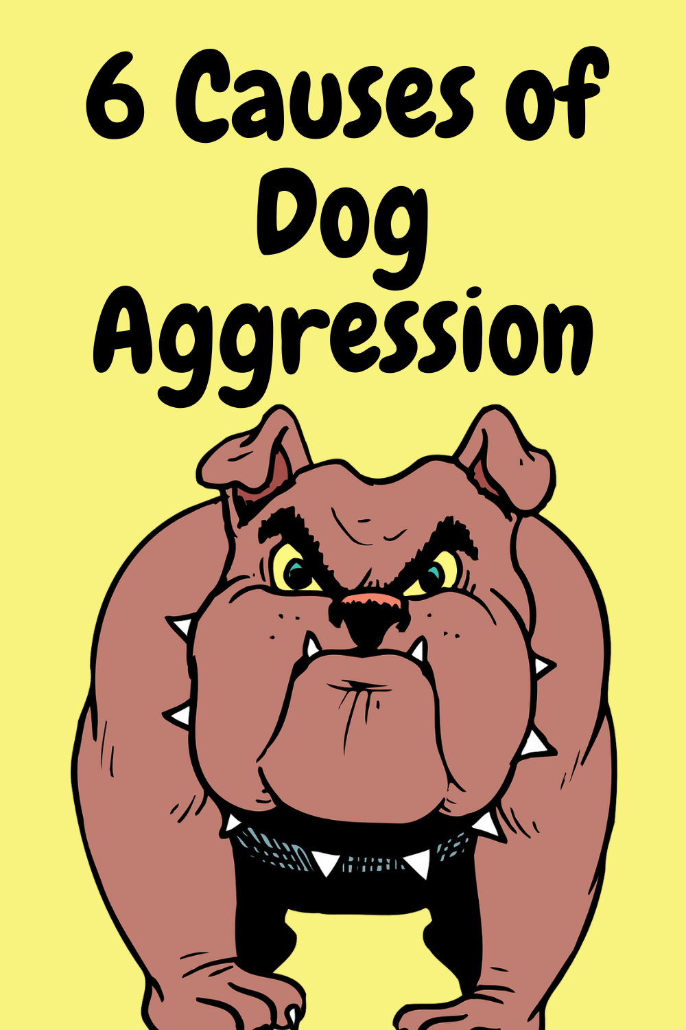 Stop Dog Aggression - Effective, Easy-to-Follow Training