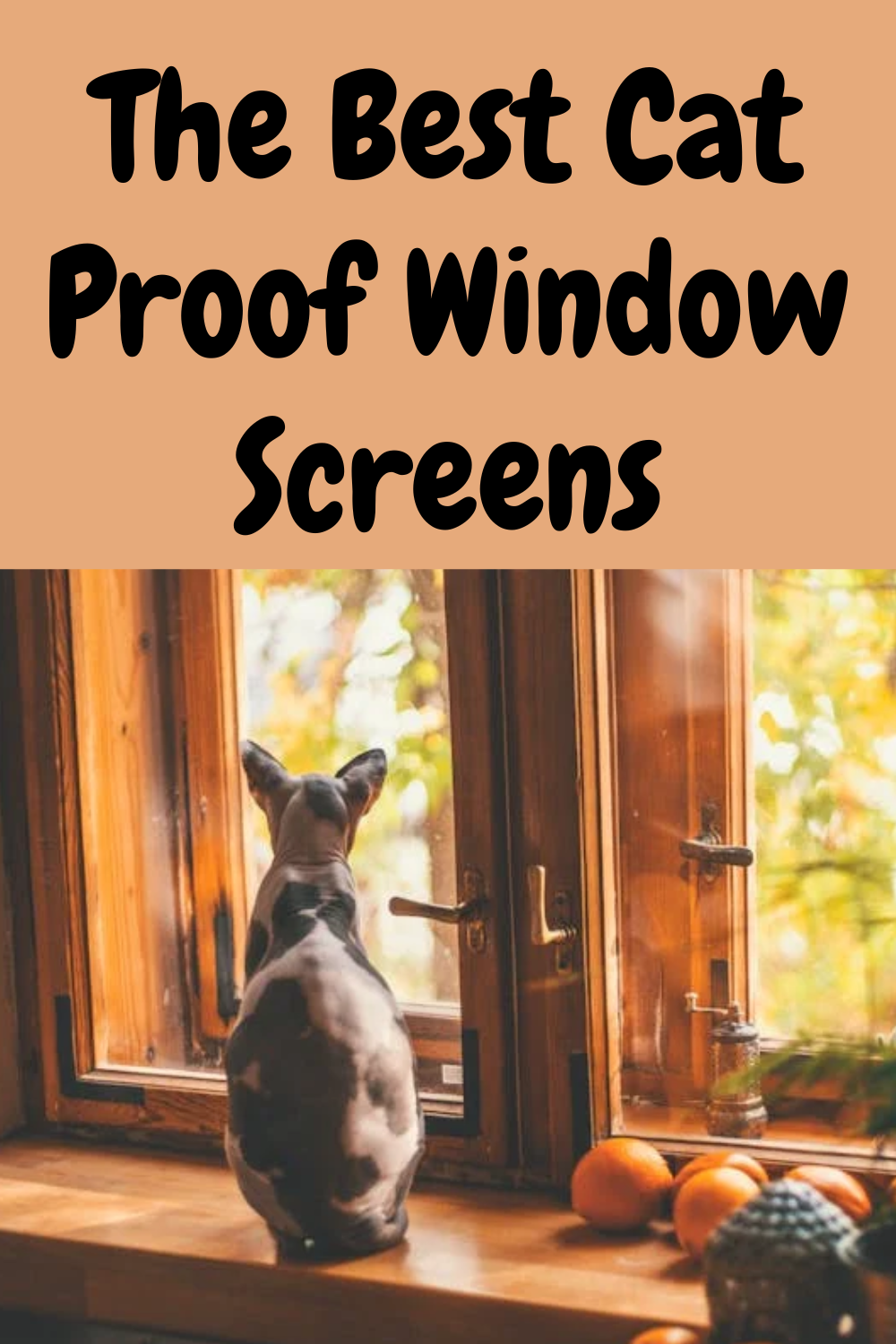Cat Proof Window Screens - Keep Your Cat Safe!