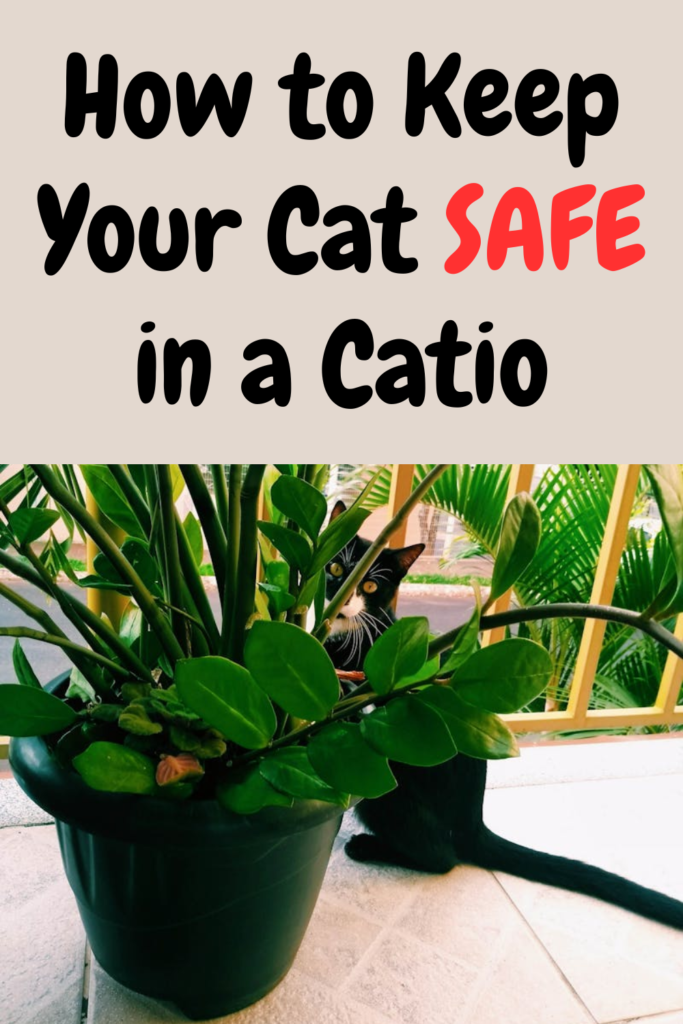 Cat Proof Window Screens - Keep Your Cat Safe!