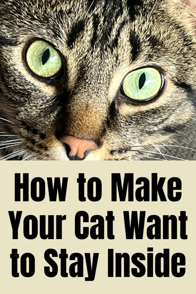 Cat Proof Window Screens - Keep Your Cat Safe!