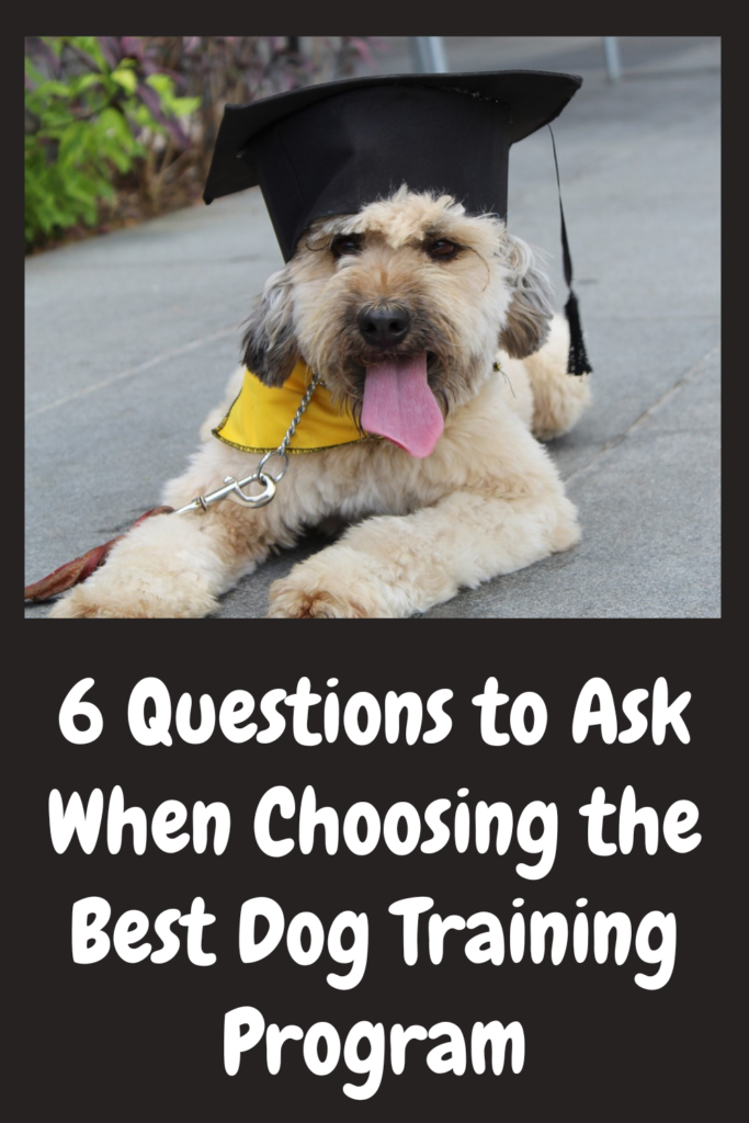 Best Online Dog Training Doggy Dan's Complete Pack
