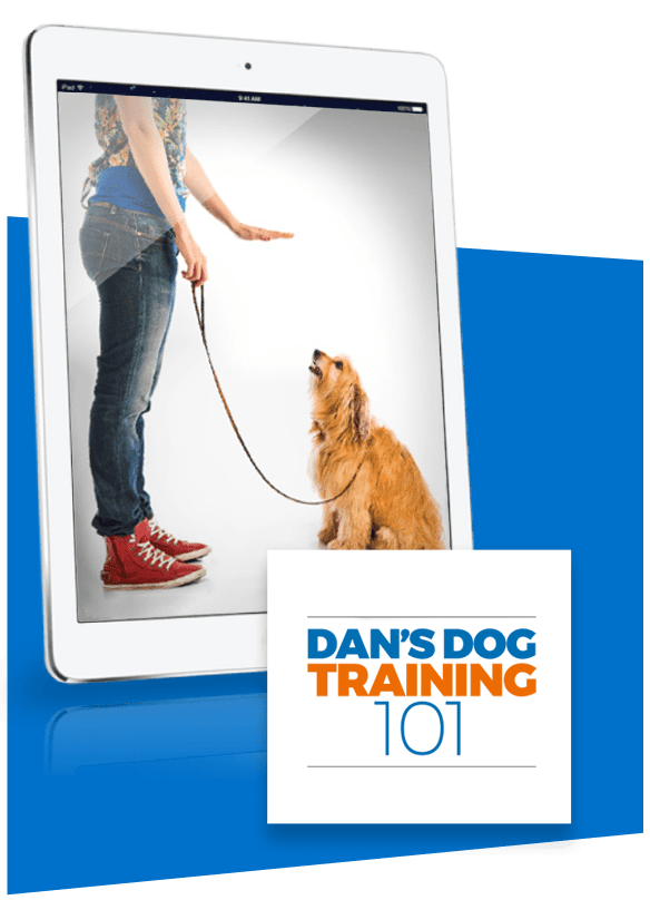 Best Online Dog Training Doggy Dan's Complete Pack