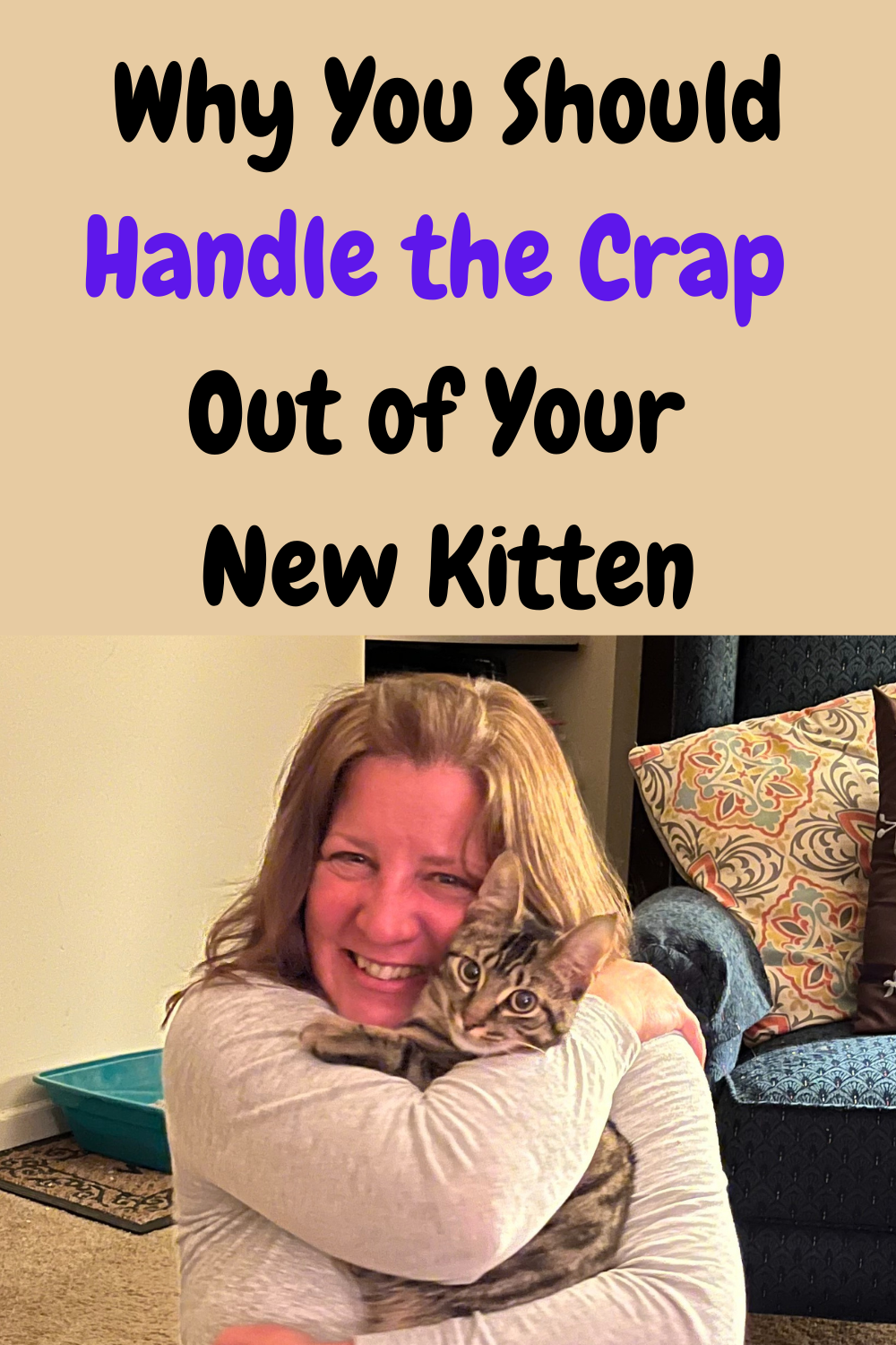 How to Take Care of a Kitten - Step-by-Step Guidance
