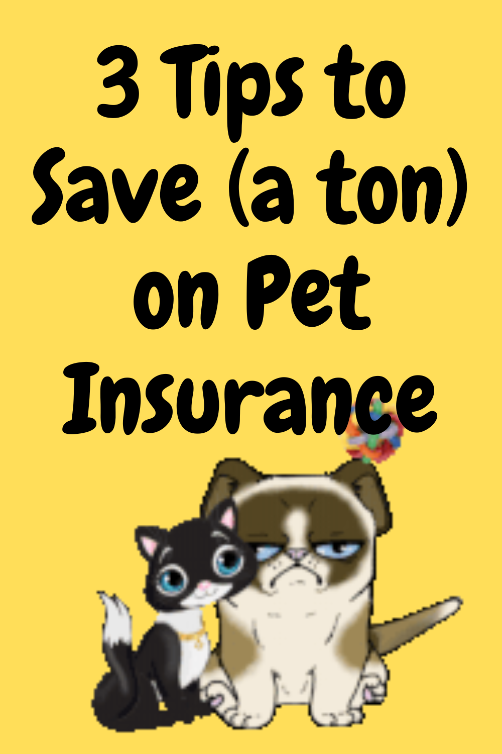 Cheap Pet Insurance - Coverage You Can Afford
