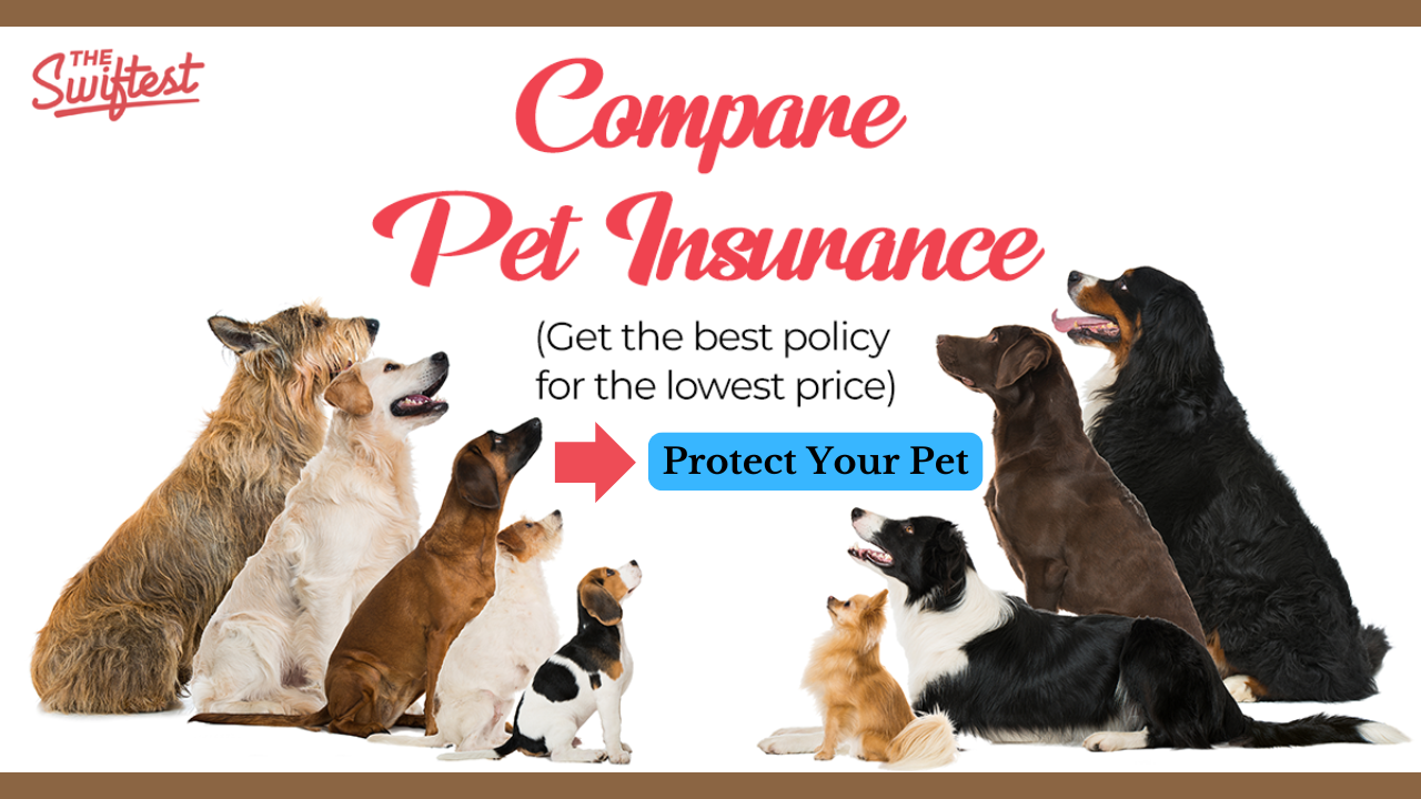 Compare Pet Insurance the Smart Way - Easy Comparison Tool!
