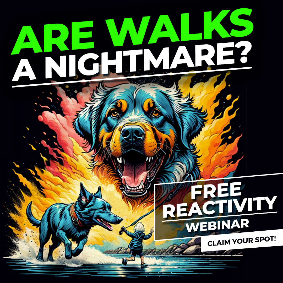 Understanding and Solving Dog Reactivity - Free Webinar!