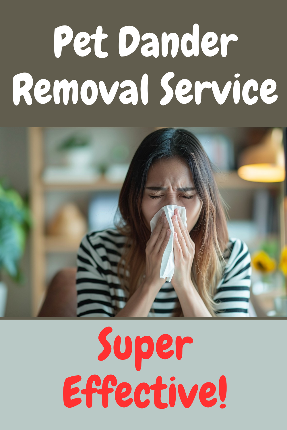 10 Simple Steps to Get Rid of Pet Dander - Keep Your Pet!