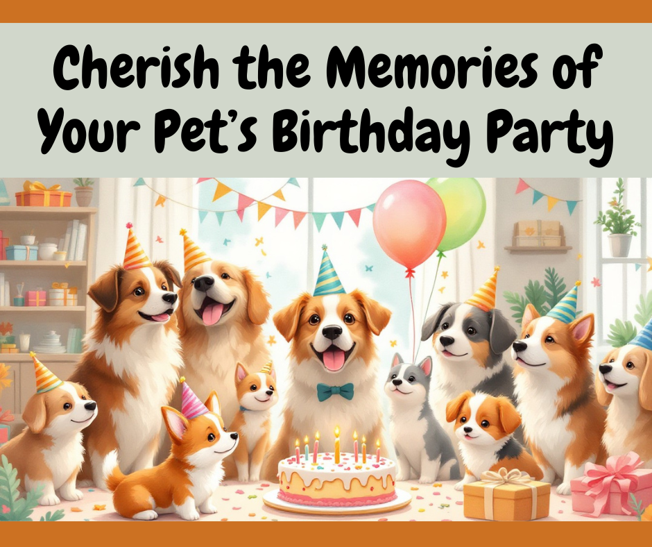 Creative Ways to Celebrate Your Pet’s Birthday - Safe & FUN!