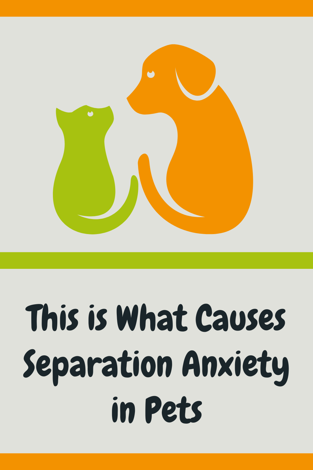 Signs Your Pet May Have Separation Anxiety - How to Solve It