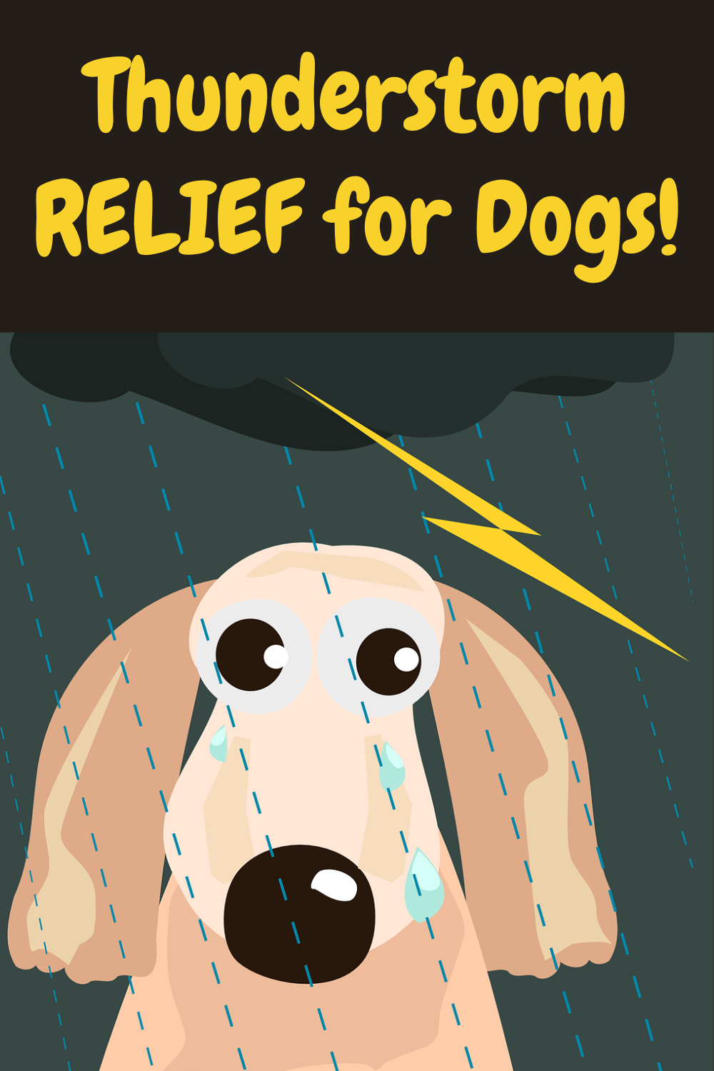 How to Help Anxious Pets During Thunderstorms
