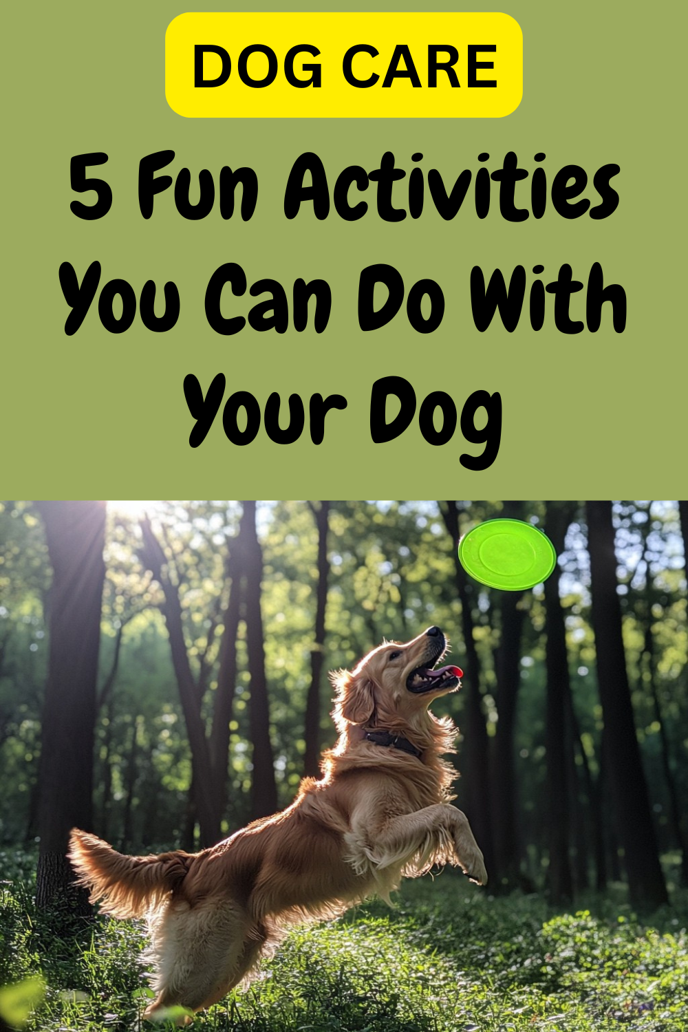 Fun Activities to Do With Your Pets - Good for Them & YOU!