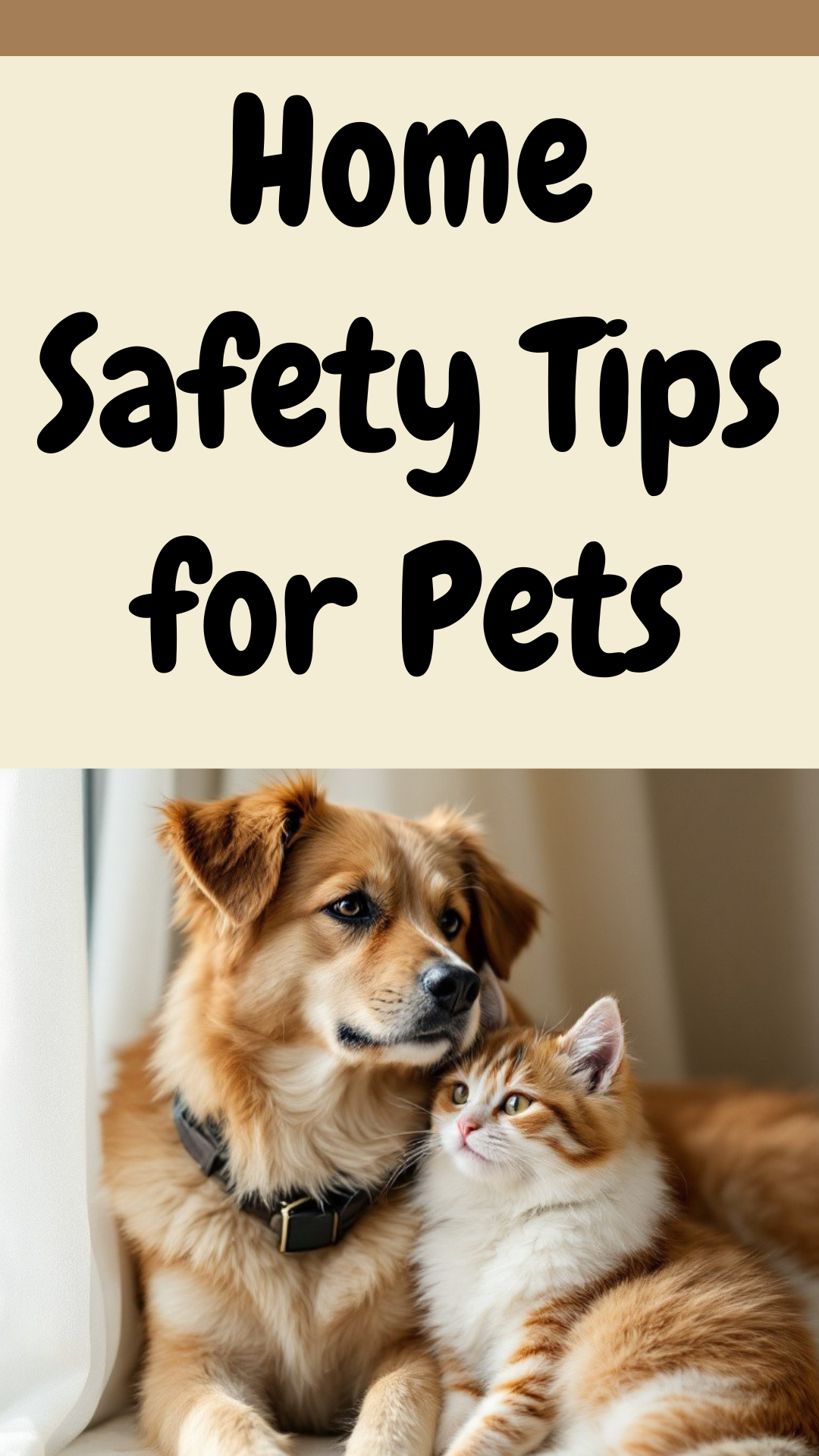 Pet Safety Checklist for Home and Yard - Keep Your Pets SAFE
