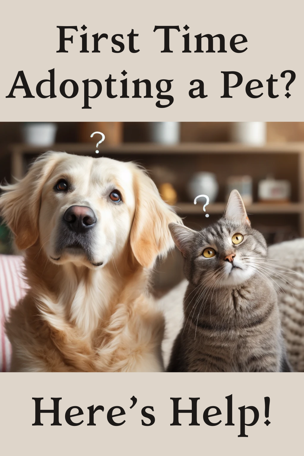 Benefits of Adopting Pets from Shelters - Adopt, Don't Shop!