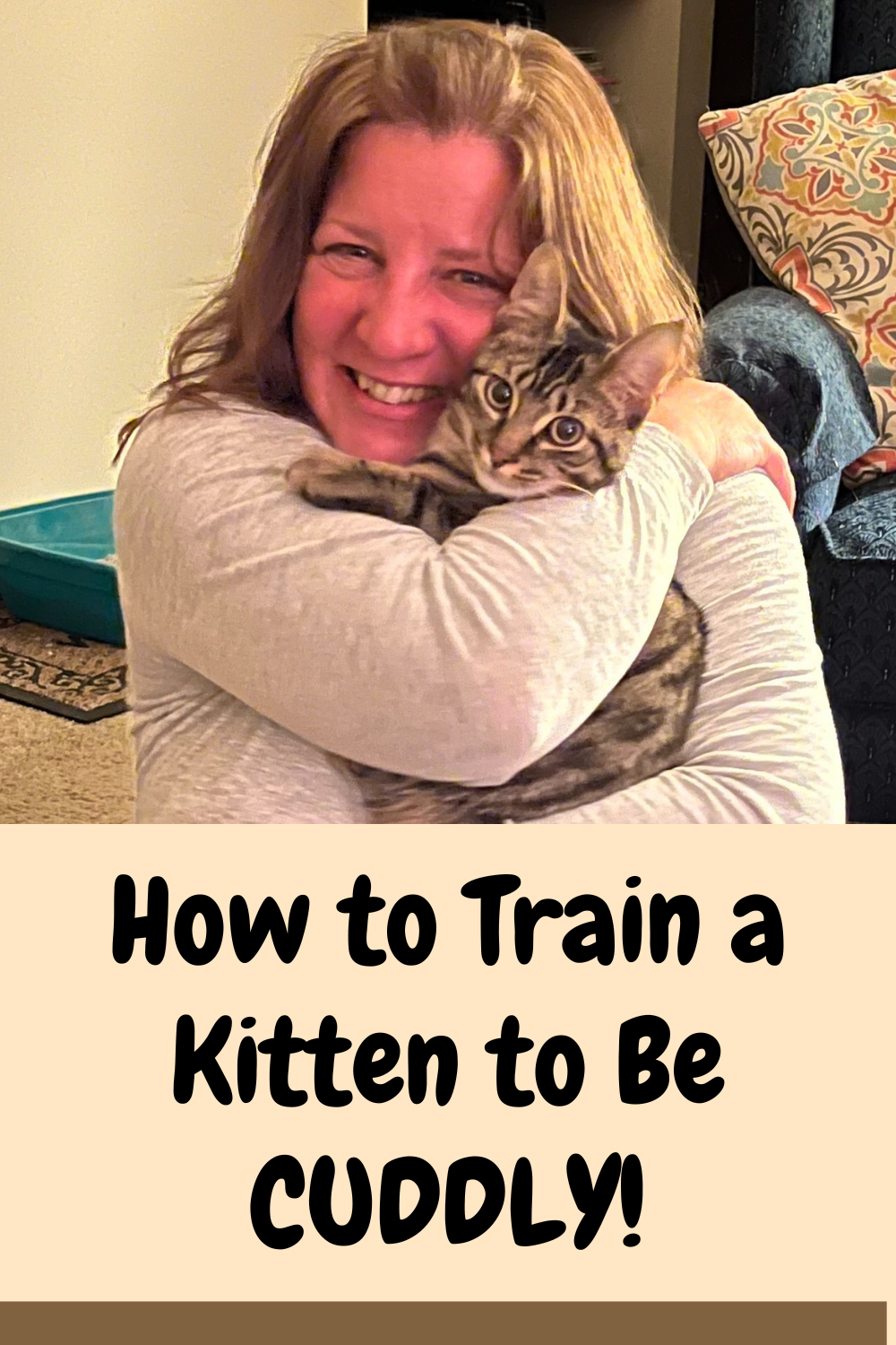 How to Train a Kitten - Guide to a Perfectly Behaved Cat!