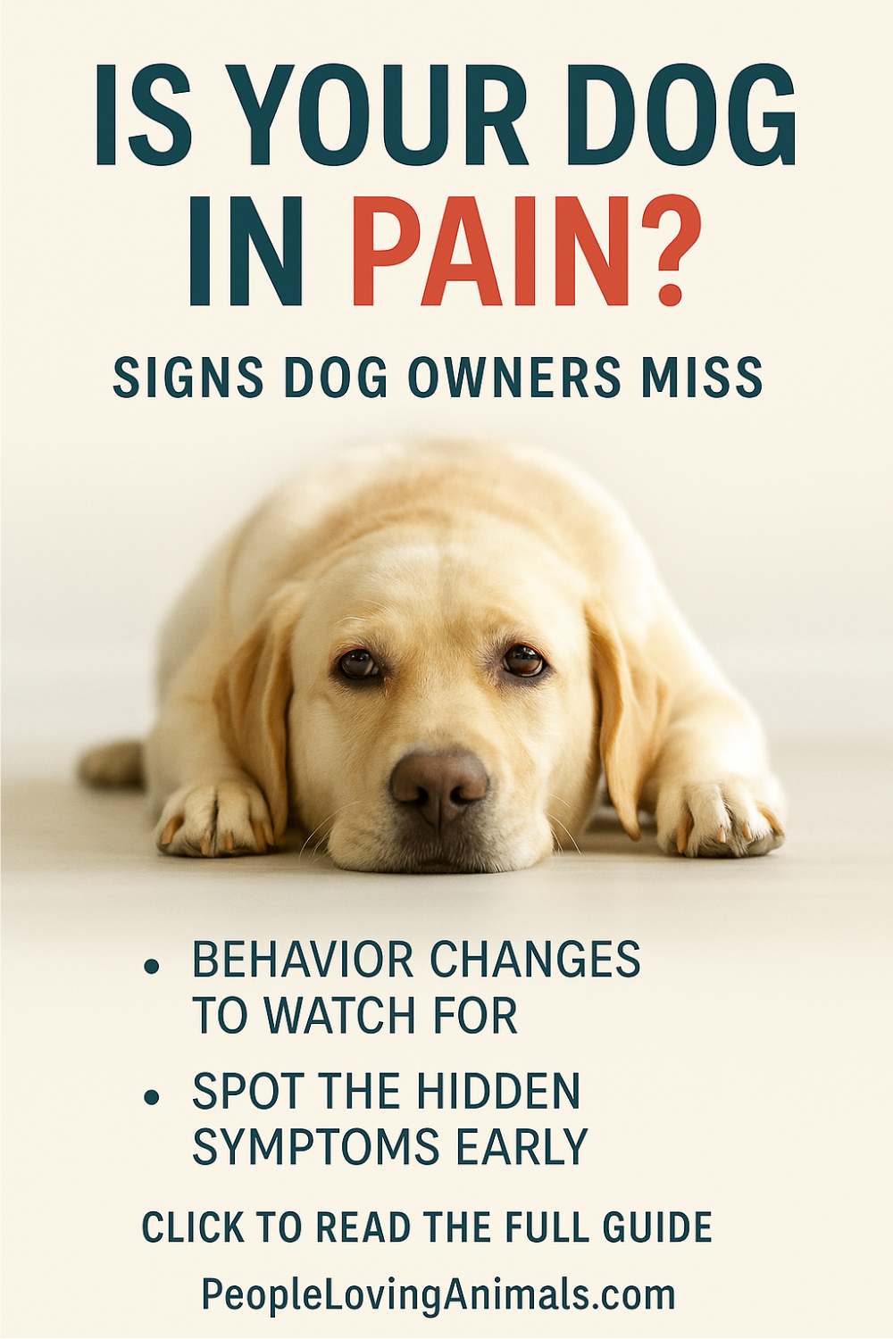 Is Your Pet in Pain? Subtle Signs Dog and Cat Owners Miss