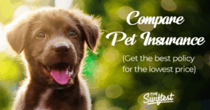 Compare Pet Insurance the Smart Way - Easy Comparison Tool!