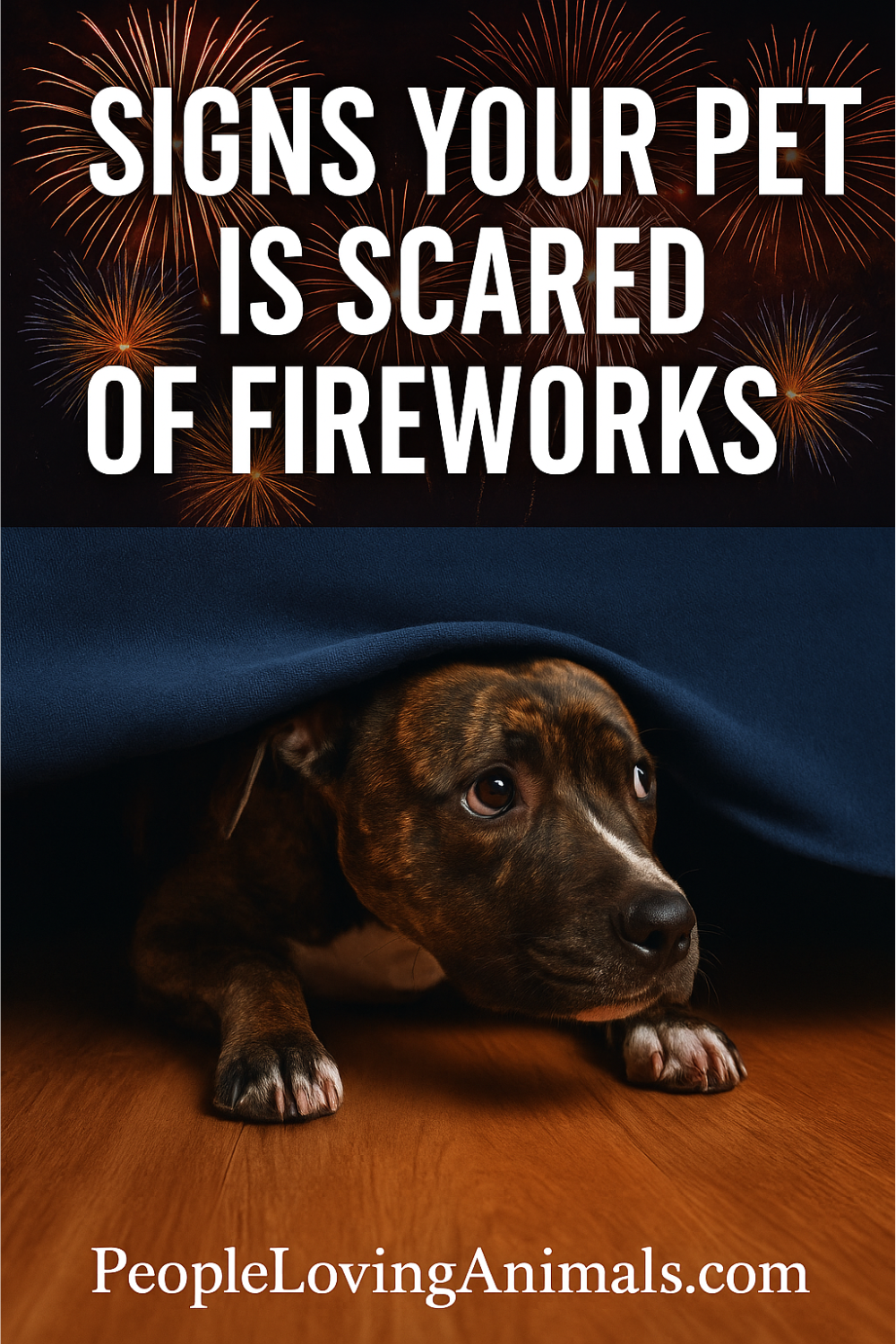 Fireworks and Pets: How to Keep Your Pets Calm and Safe