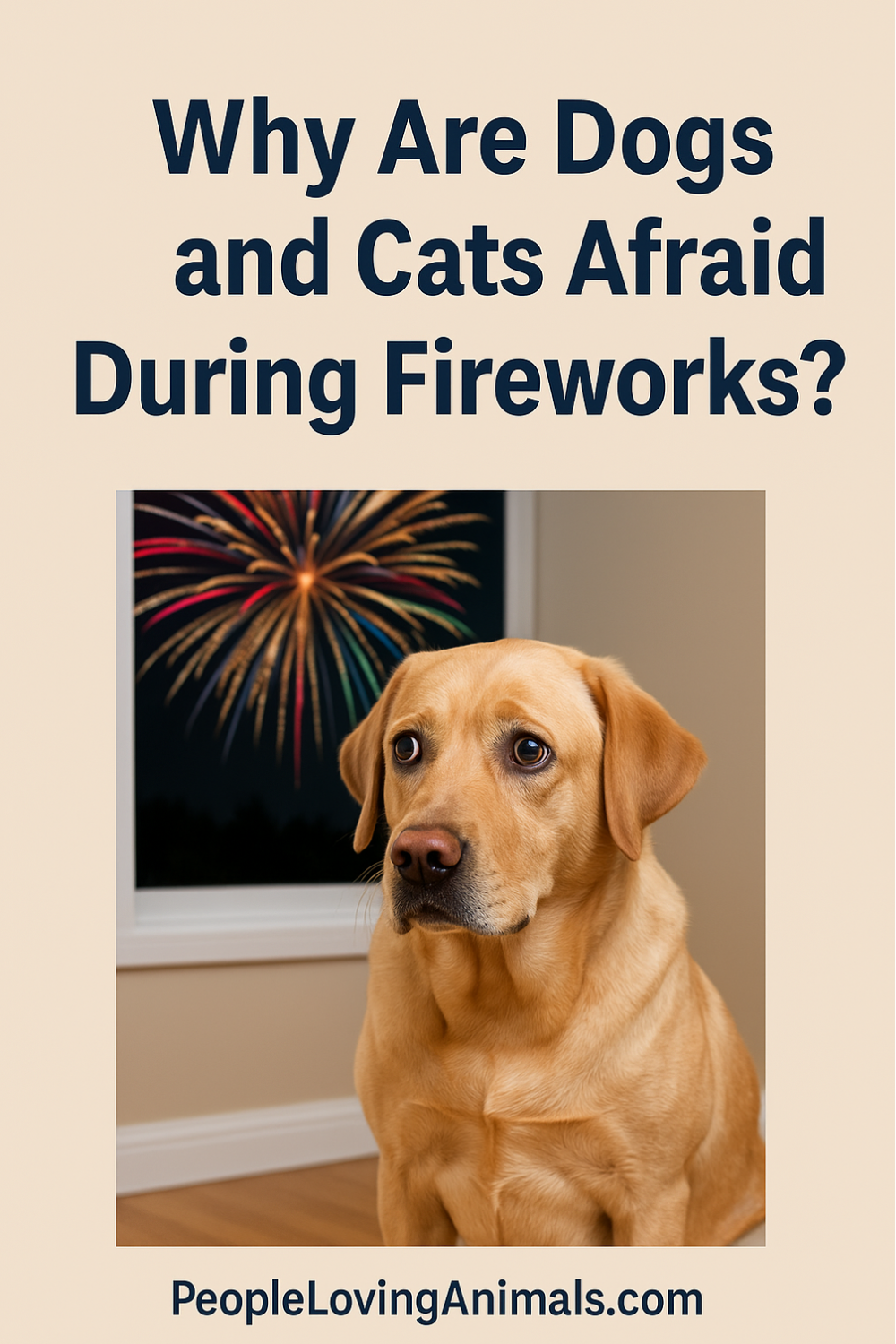 Fireworks and Pets: How to Keep Your Pets Calm and Safe