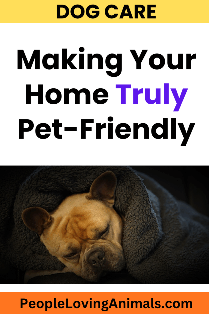 Making Your Home Truly Pet-Friendly (Beyond the Basics)