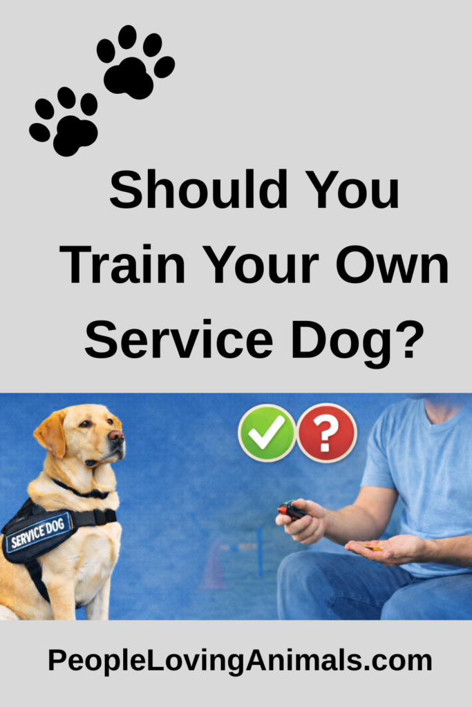 How to Train Your Own Service Dog Legally - What's Required
