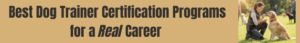 Best Dog Trainer Certification Programs for a Real Career