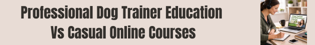 Professional Dog Trainer Education Vs Casual Online Courses